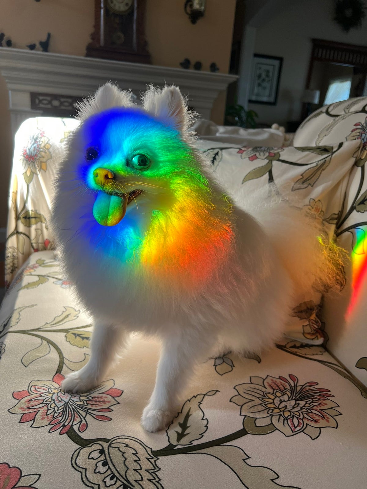 Taste the rainbow | MLTSHP