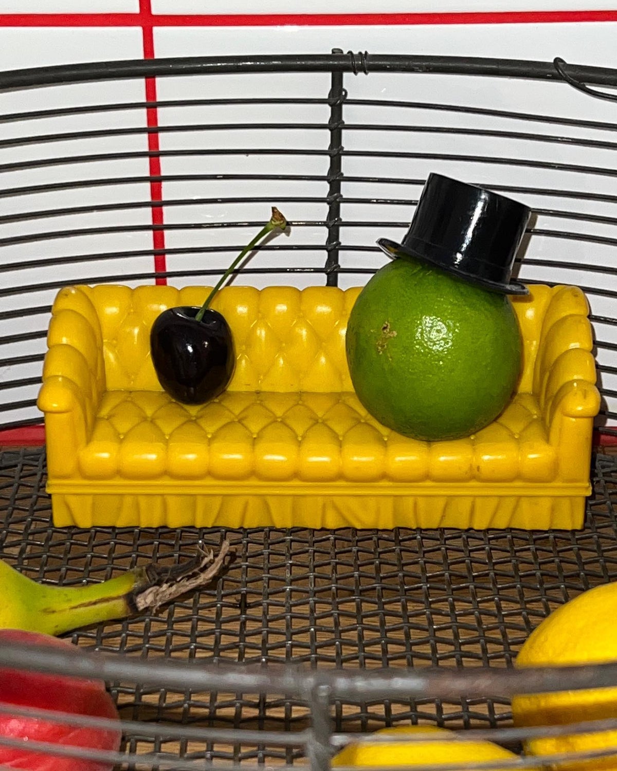 New soap opera starring fruit | MLTSHP