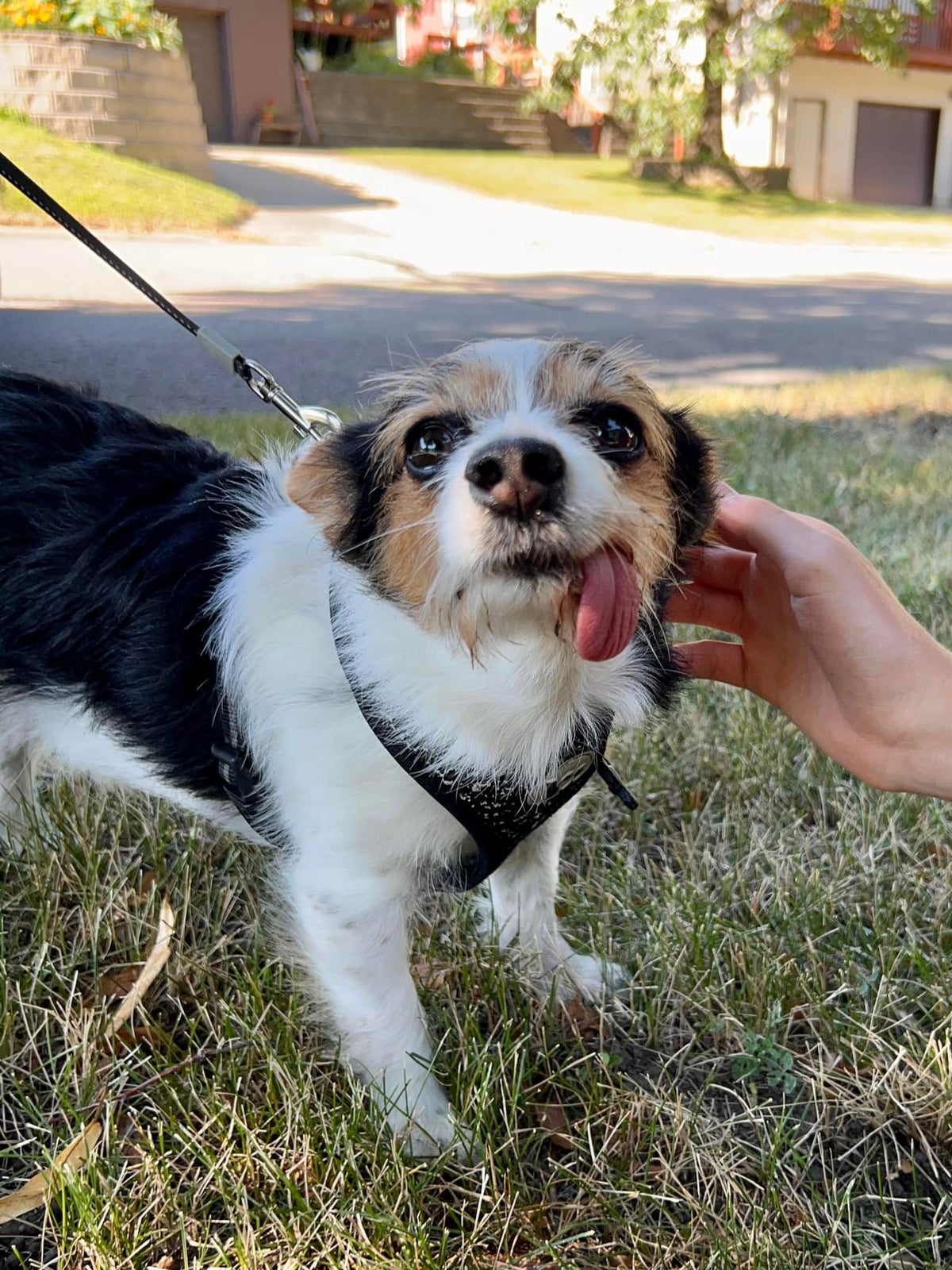 beyond blep | MLTSHP