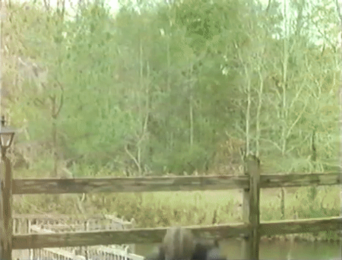 intot he comments like | MLTSHP