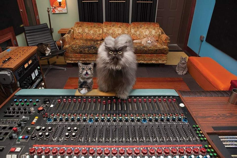 pair programming | MLTSHP