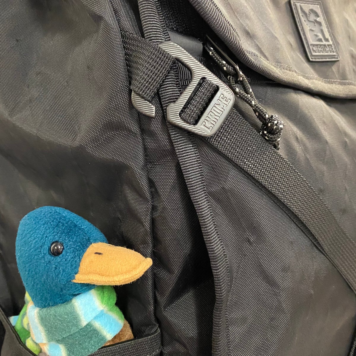 a new backpack is not official until it has comrade mallárd onboard ...