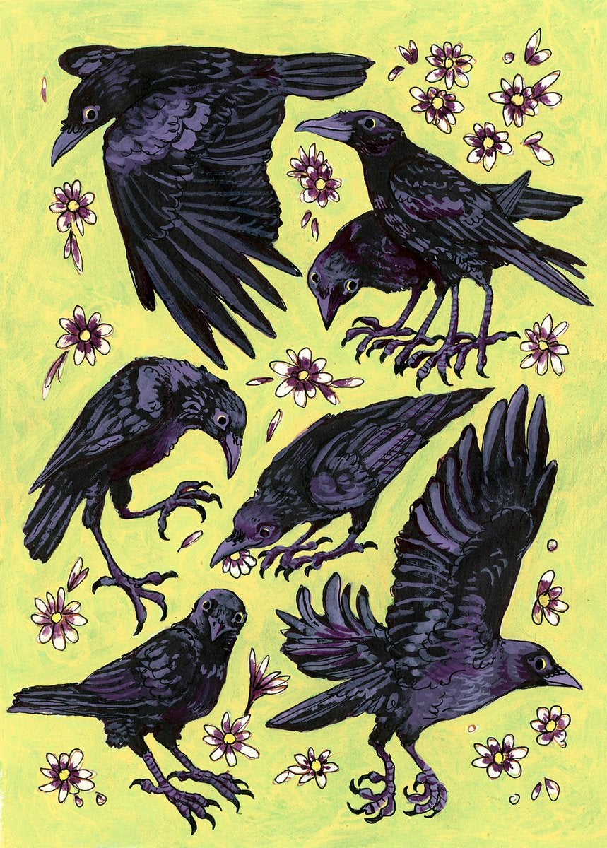 crows crows crows | MLTSHP