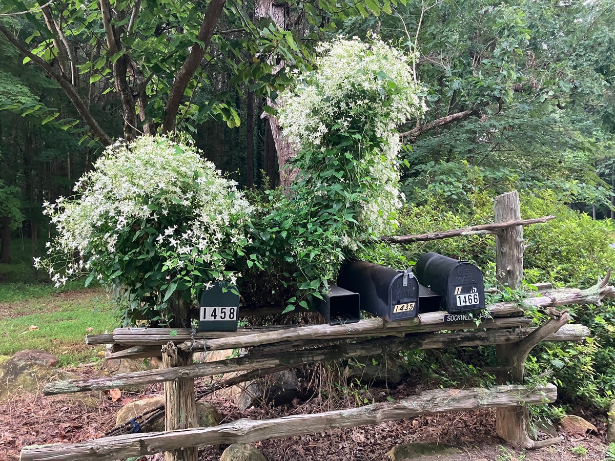 Checking the mail | MLTSHP