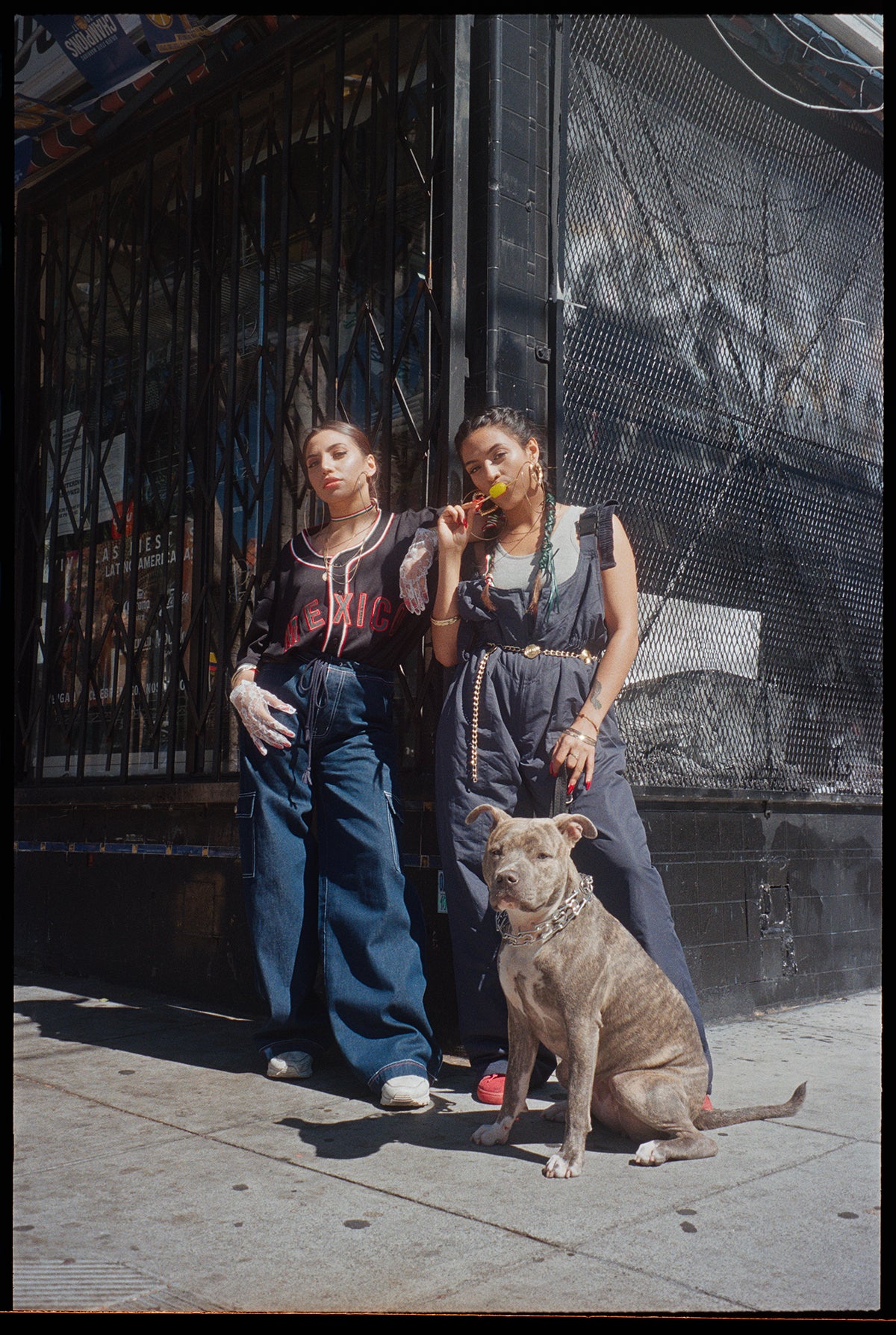 Friends, Dog, and Sucker | MLTSHP