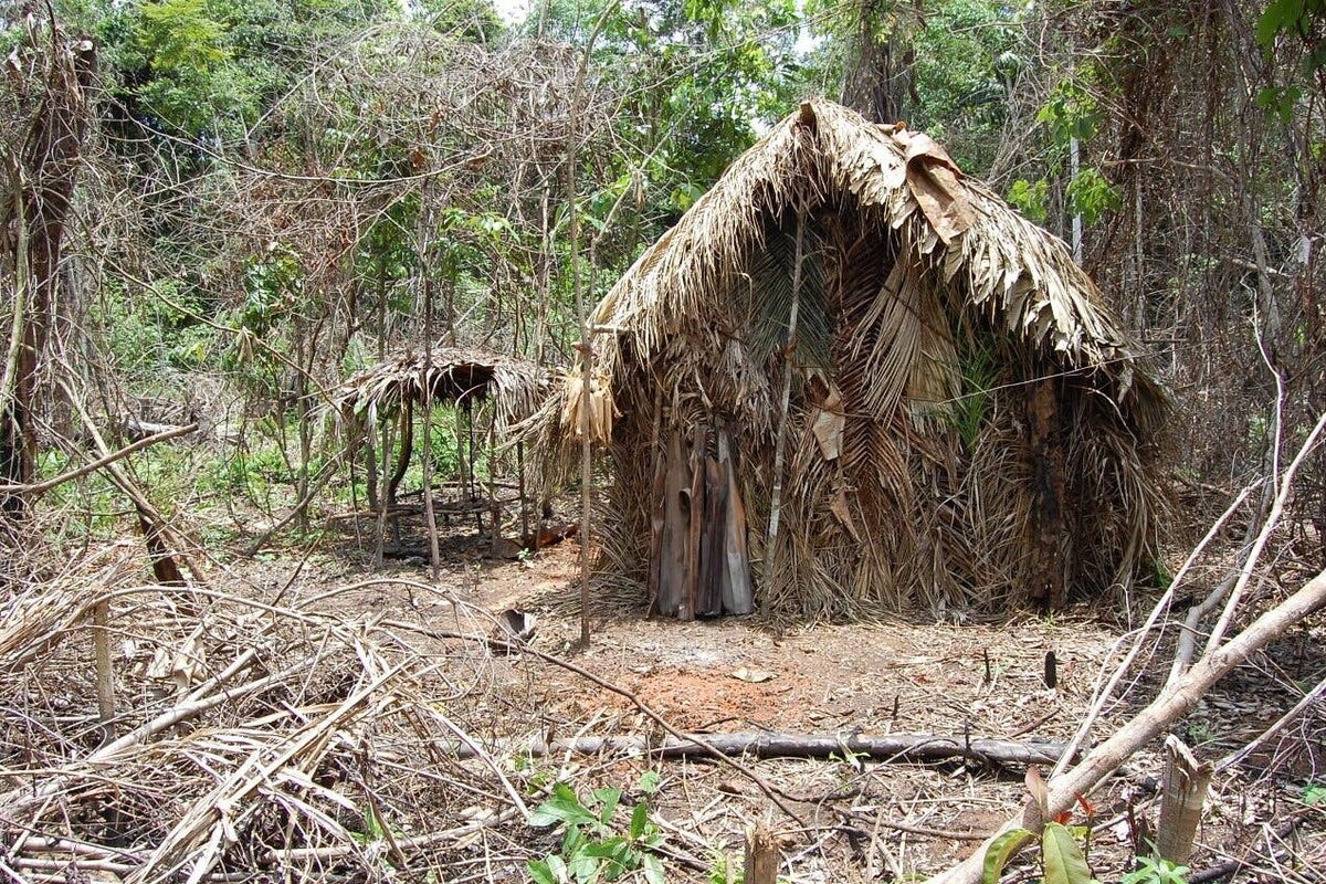 RIP to the last of an unnamed and uncontacted tribe in the amazon | MLTSHP