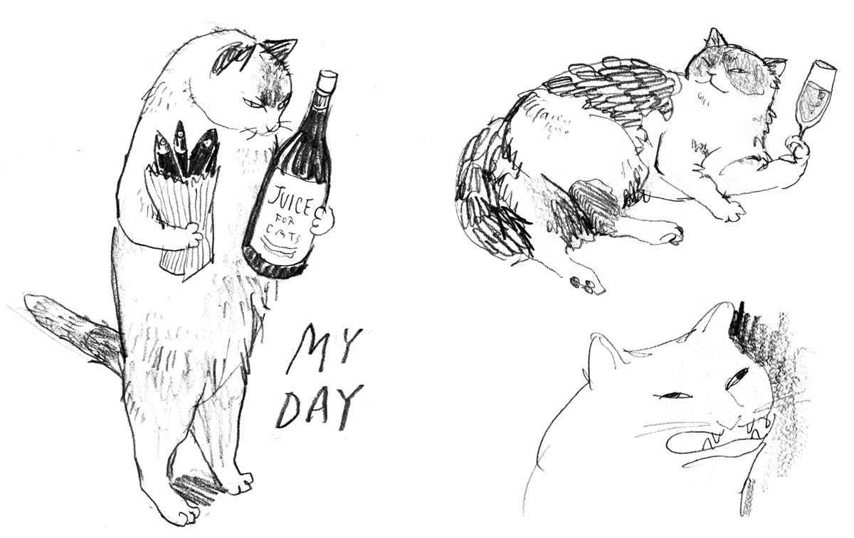 Treat catself | MLTSHP