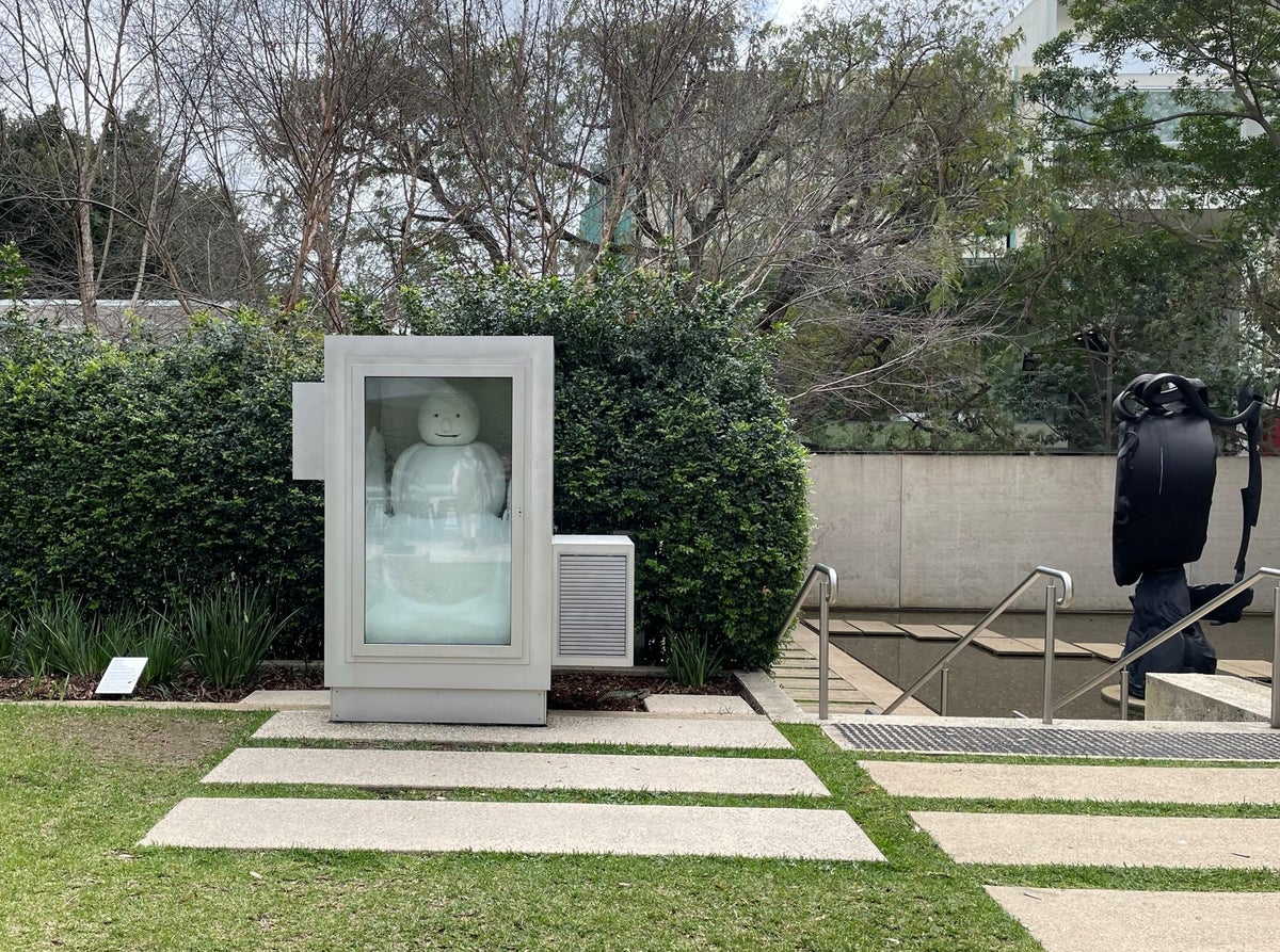 Do you wanna preserve a snowman? | MLTSHP