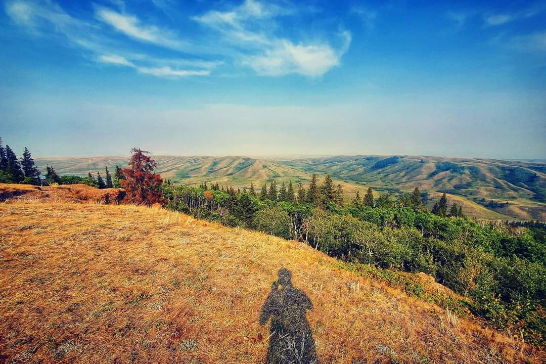 Selfie By Proxy, Canadian Edition | MLTSHP