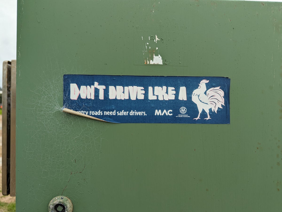 Not all 🐓 | MLTSHP