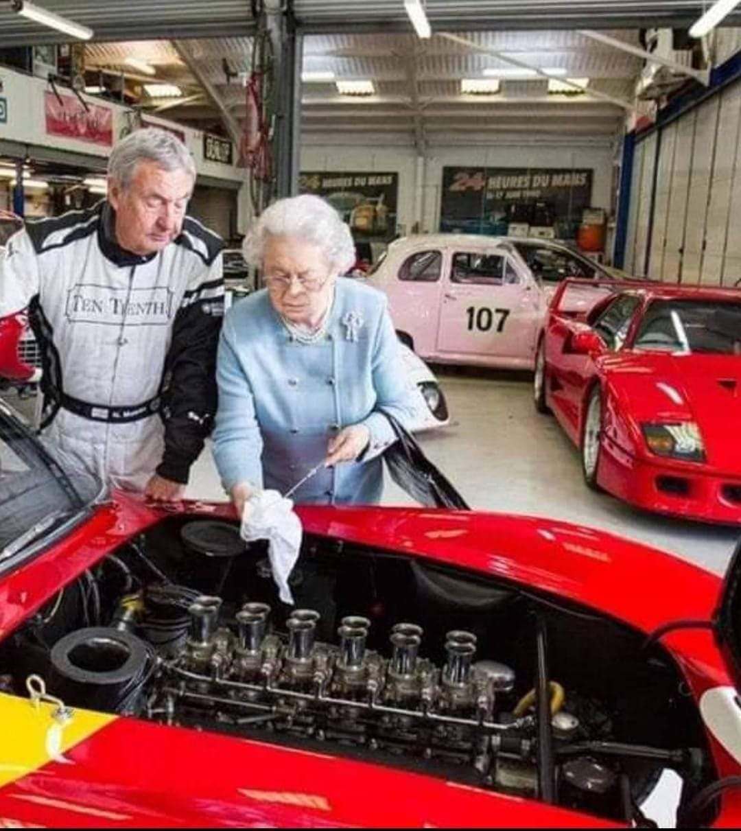 Nick 'n' Liz | MLTSHP