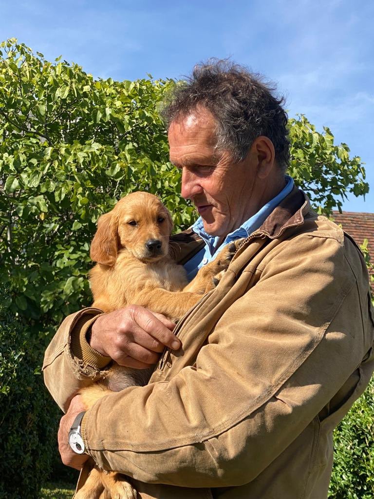 Monty Don's new pup, Ned | MLTSHP