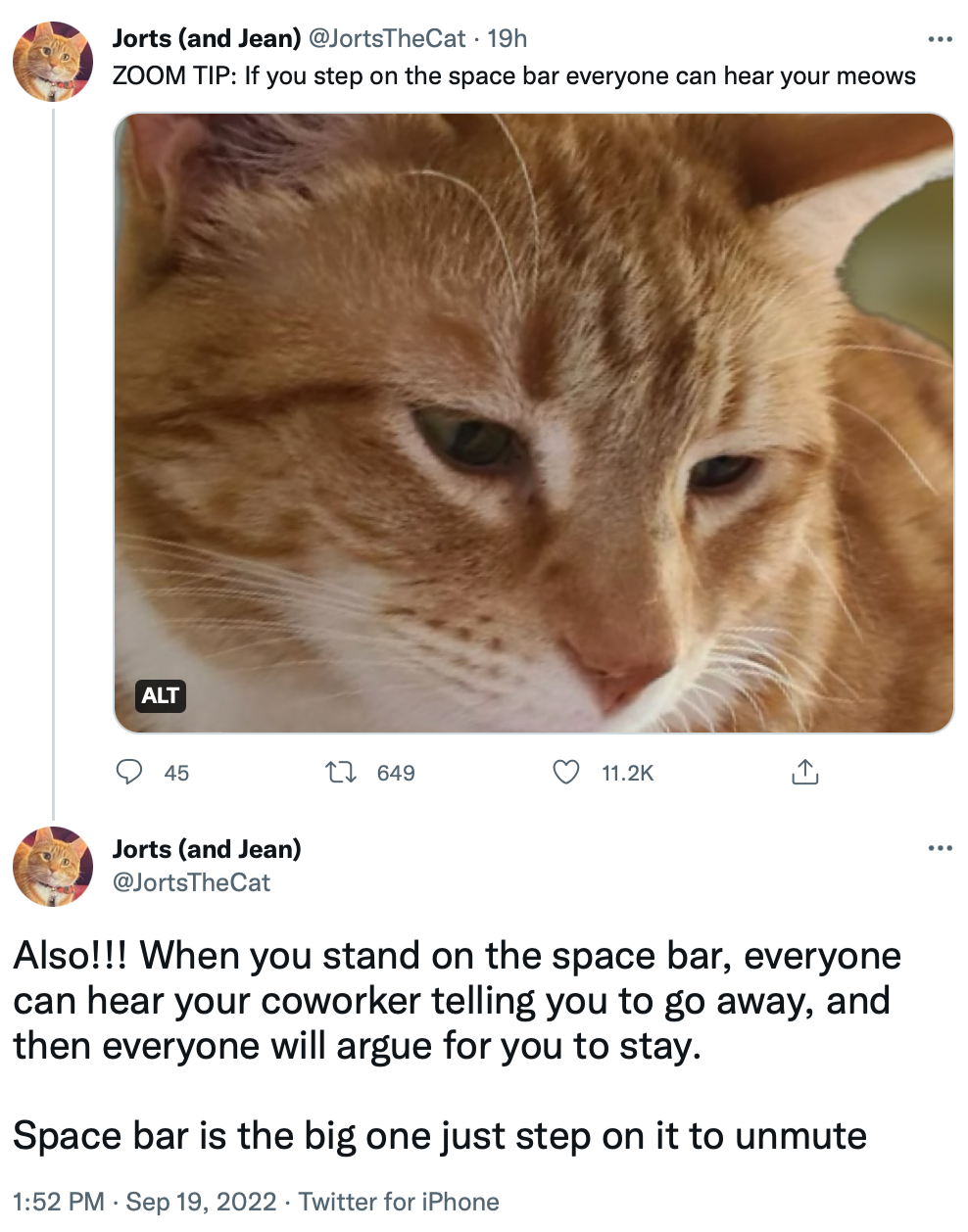 Jorts - Zoom tip | MLTSHP