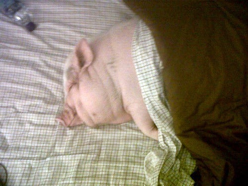 Recent portrait of me | MLTSHP