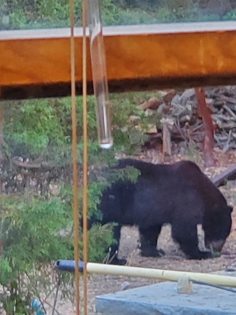 Hey neighbor! | MLTSHP