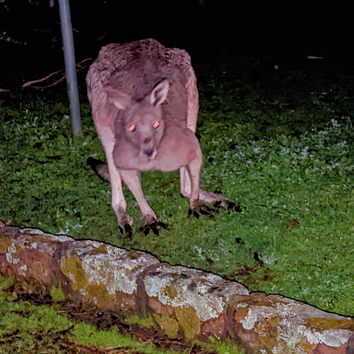 Hey neighbour! | MLTSHP