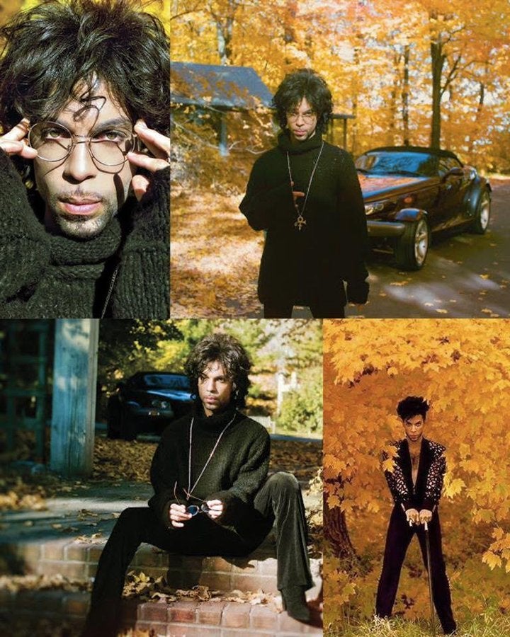 Starfish and Pumpkin Spice Time | MLTSHP