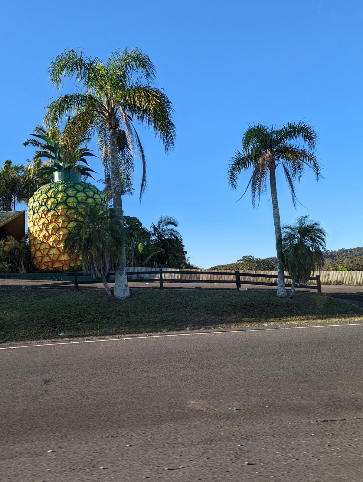 Big tart unit | MLTSHP