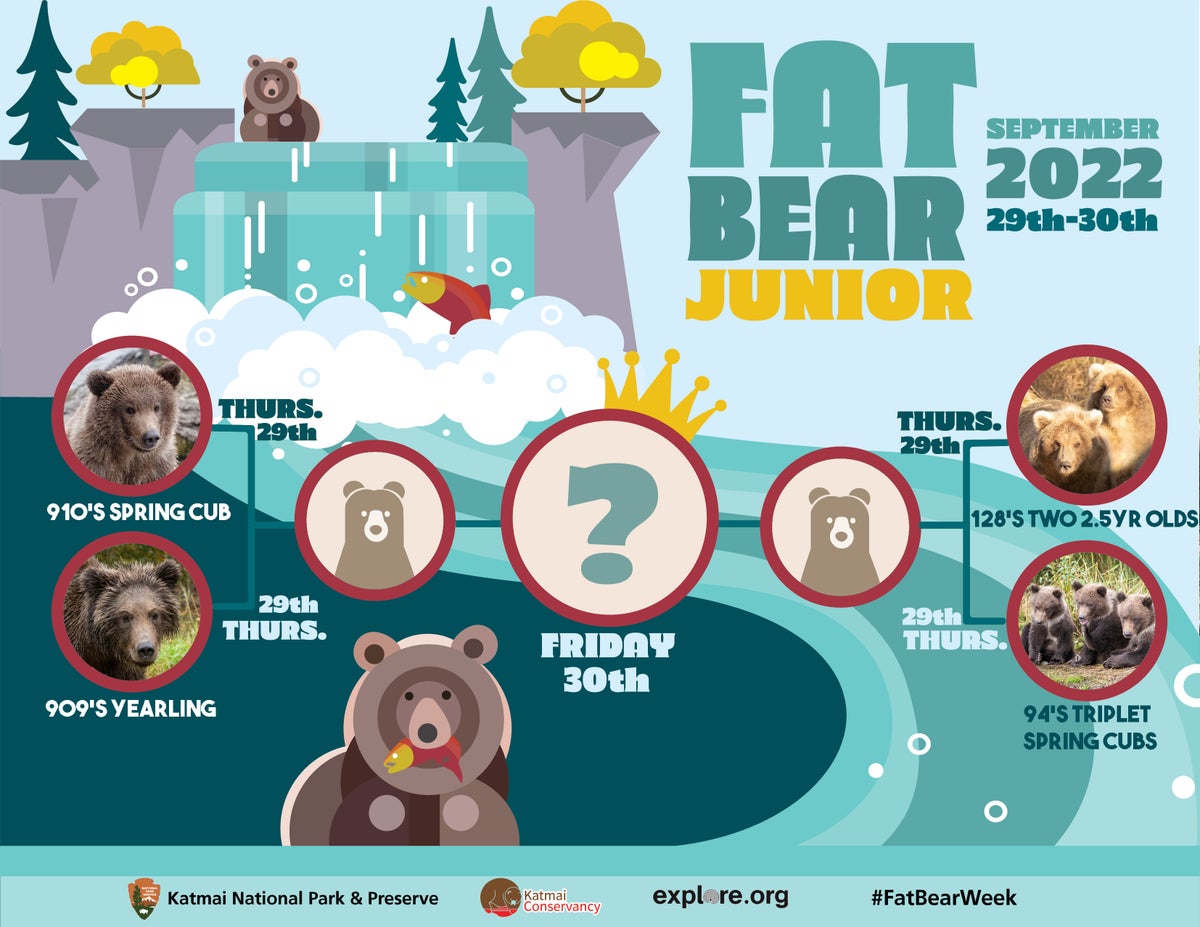 It's. . . . FAT BEAR JUNIOR DAY | MLTSHP