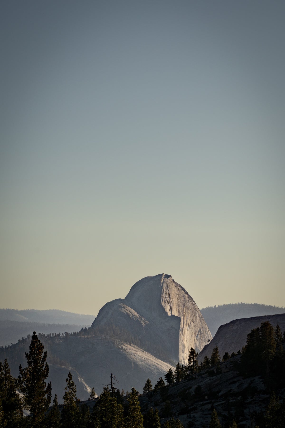 Fading Light | MLTSHP