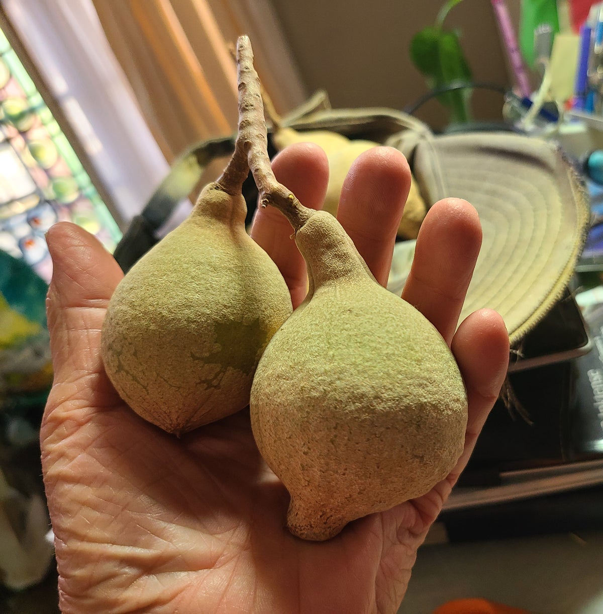 Hand For Scale | MLTSHP