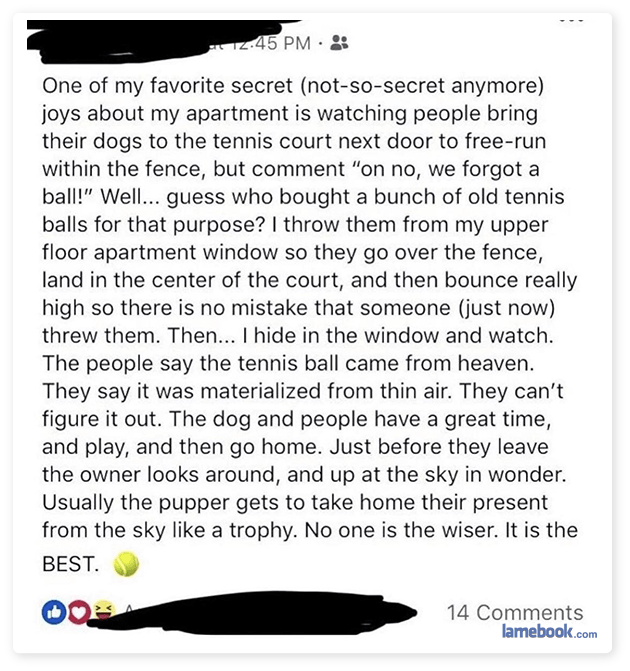 More like this | MLTSHP