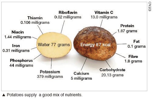 This winter, I will live off potatoes | MLTSHP