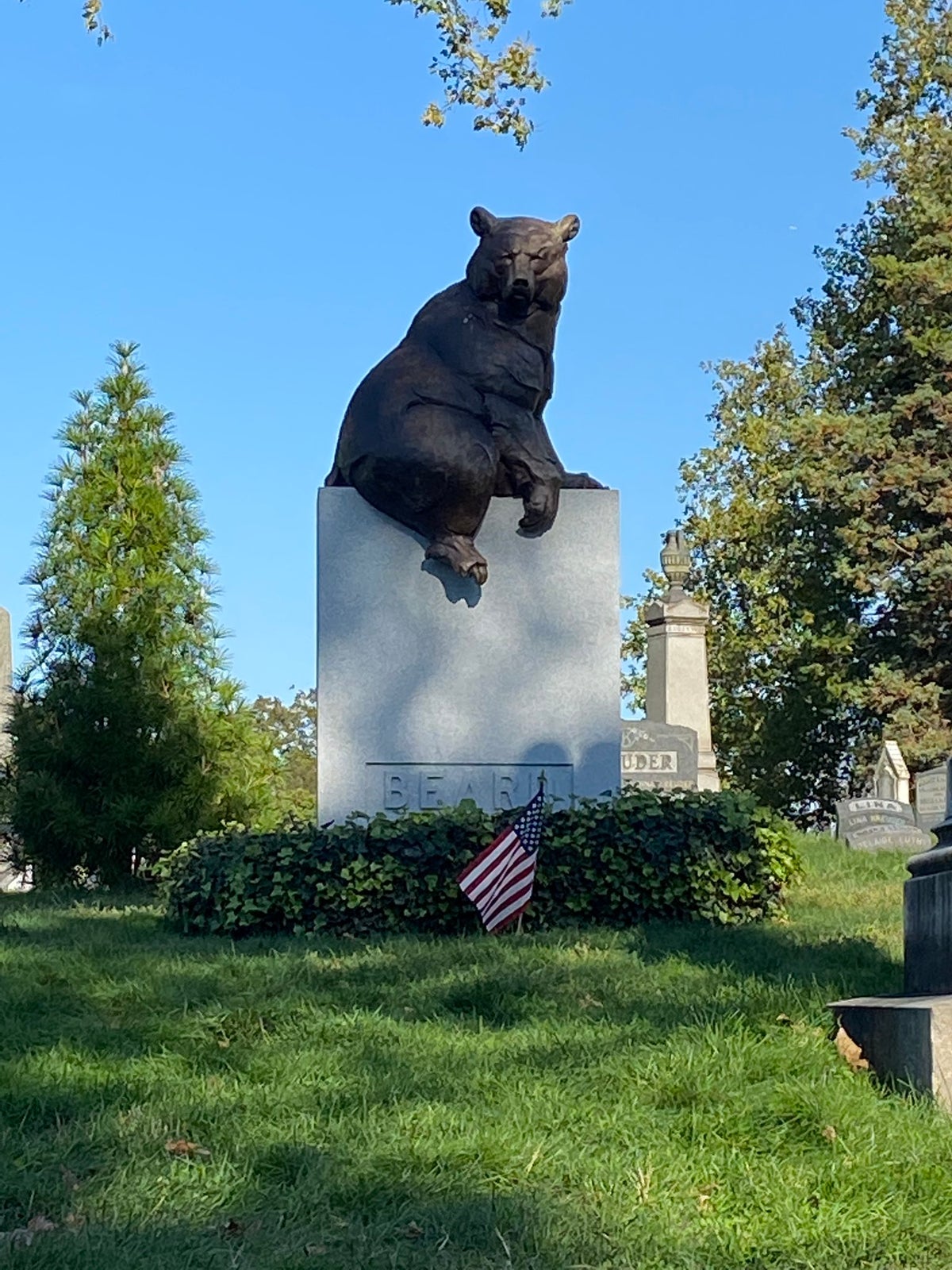 Truth in advertising | MLTSHP