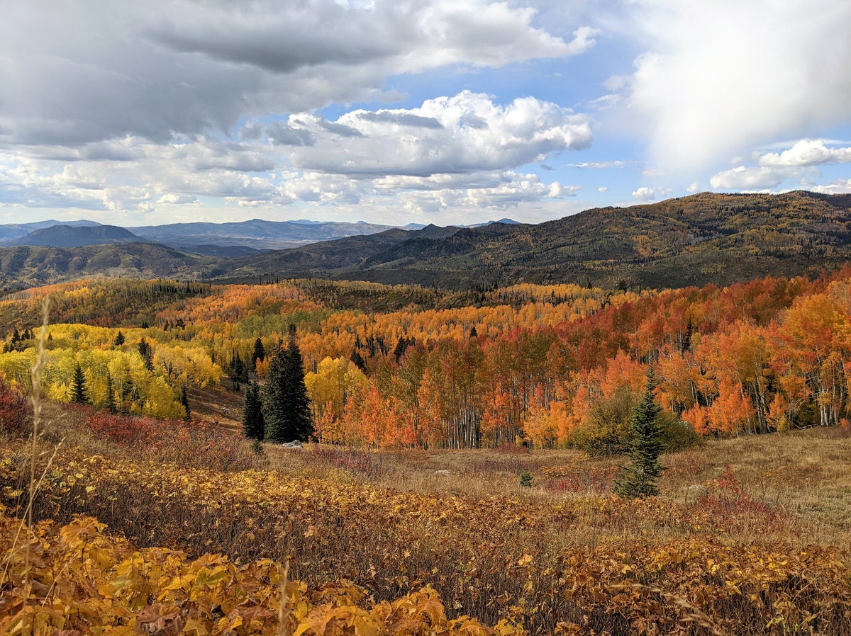 it's fall on the Great Divide! (#2) | MLTSHP