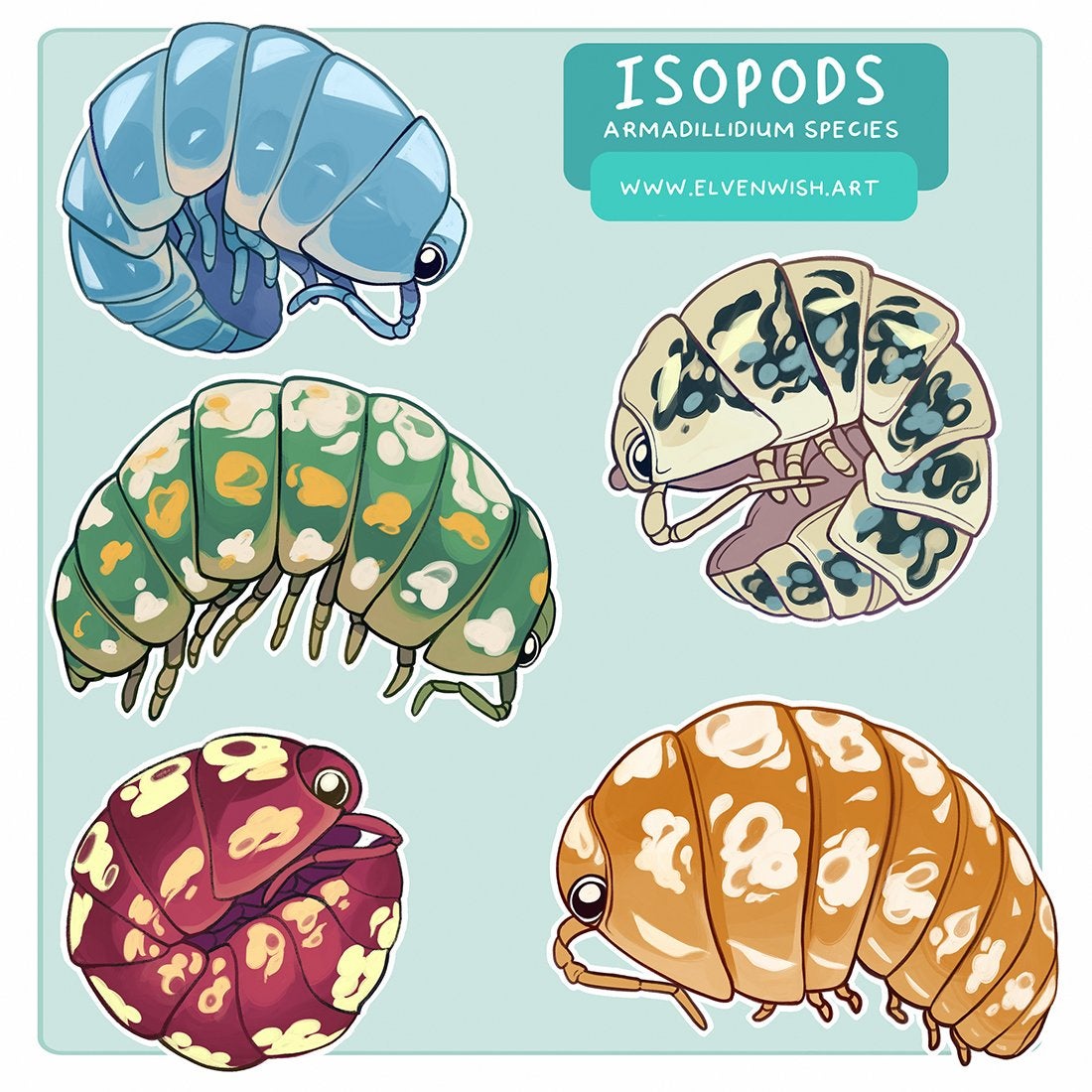 isopods, by Beth Pearson (elvenwish) | MLTSHP