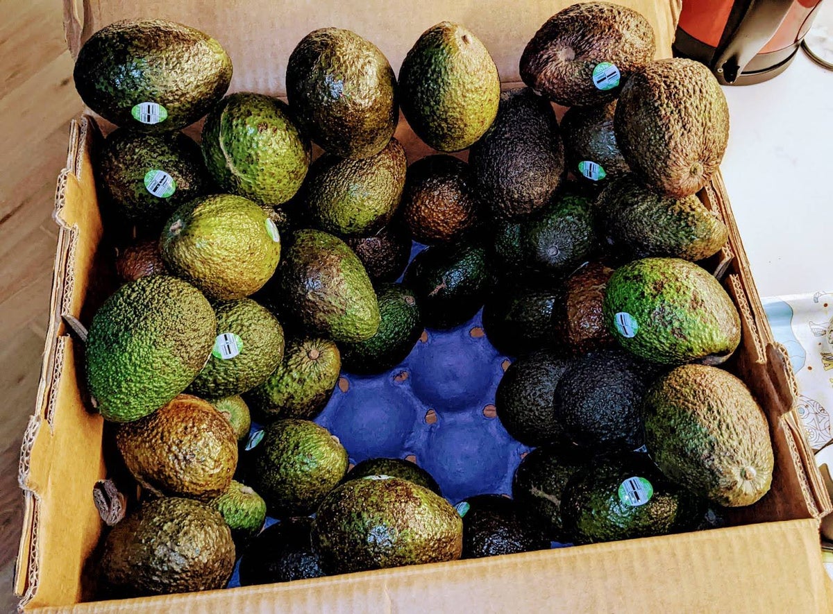 GUAC.THIS.WAY | MLTSHP