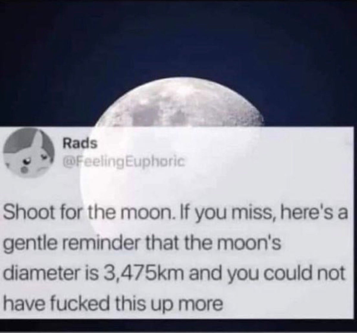 if you're gonna fail, fail big. | MLTSHP