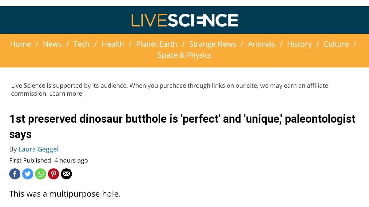 Dinosaur butthole is perfect and unique | MLTSHP