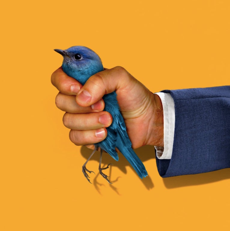 how does mltshp feel about twitter? | MLTSHP