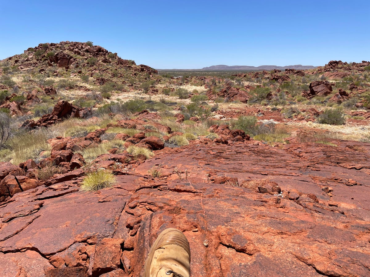 My Boot Gets Around | MLTSHP