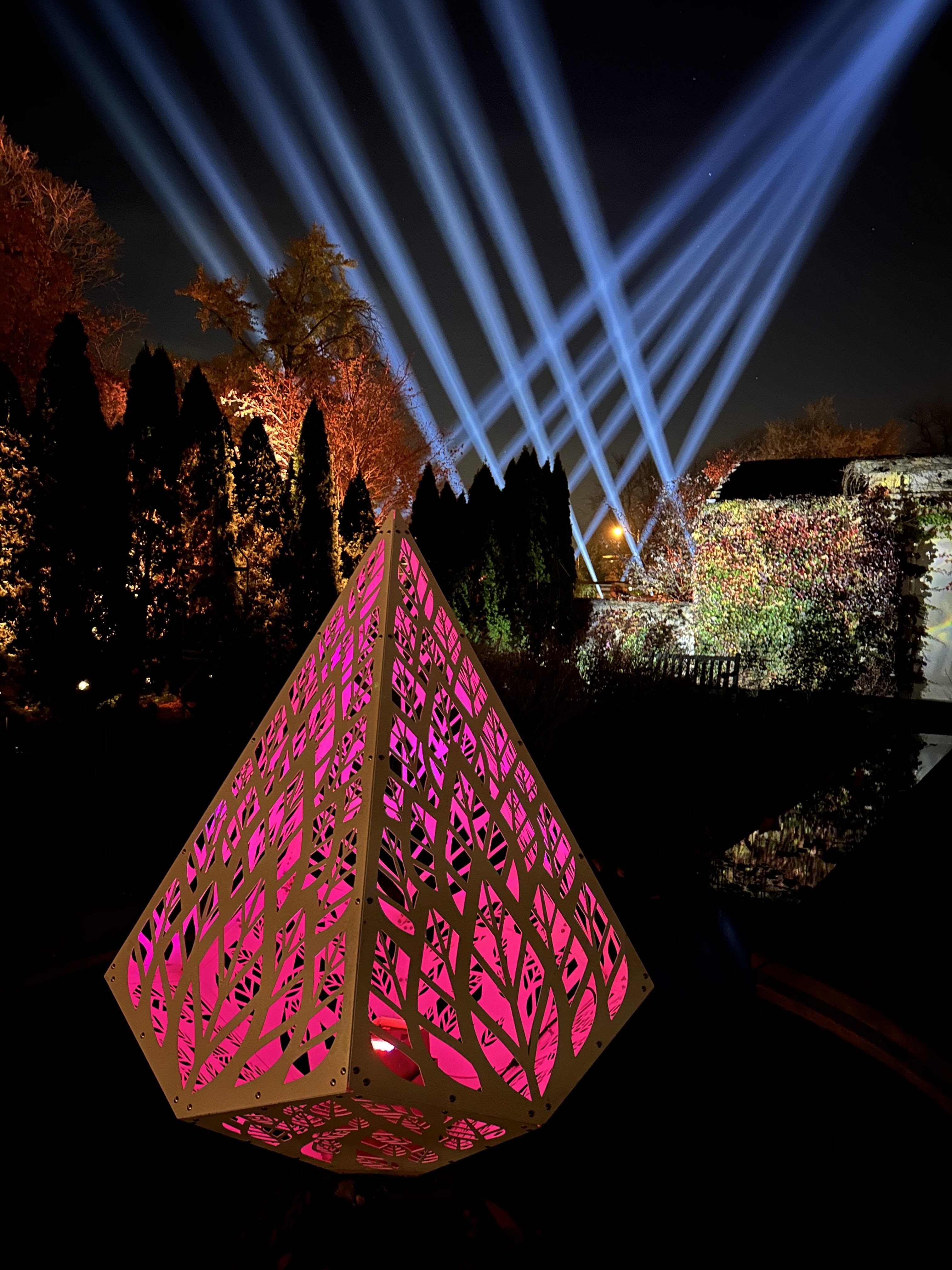 Let there be light | MLTSHP