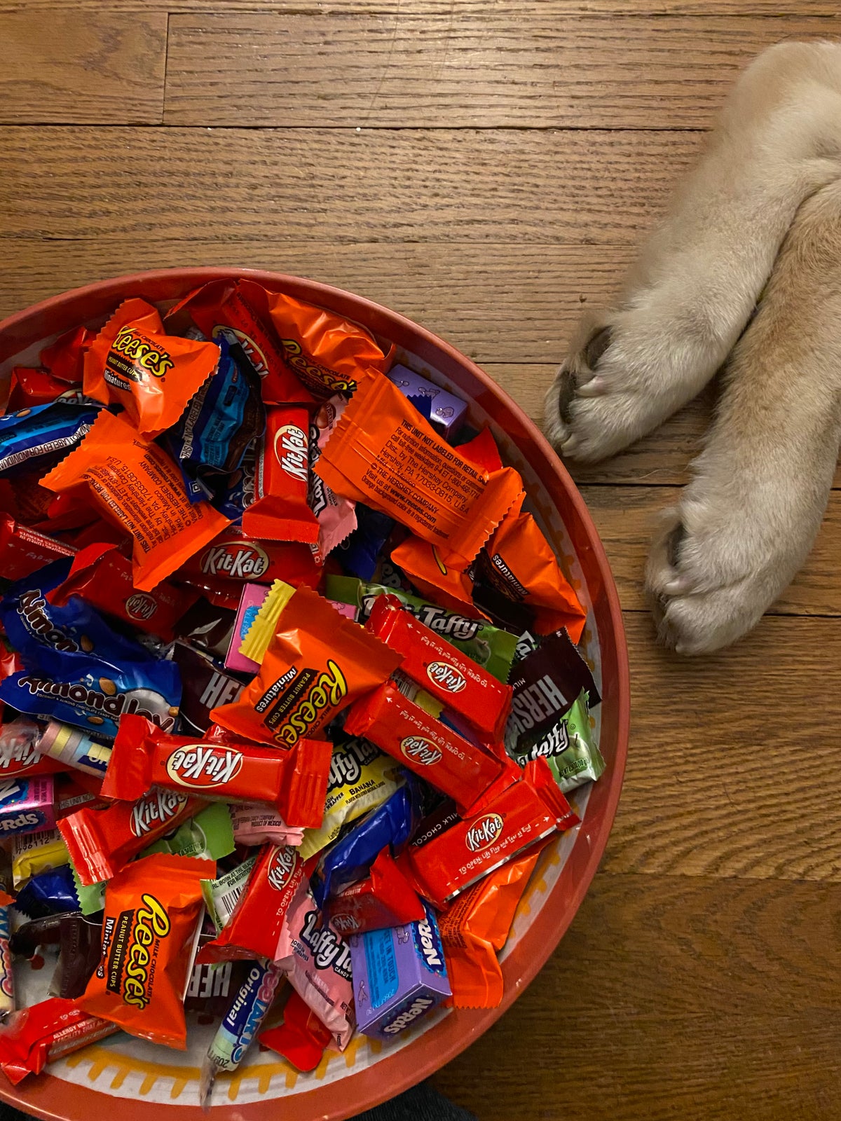 current spoopy status @ casa garcia | MLTSHP