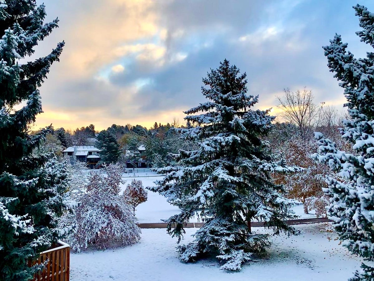 FRIDAY VIEW | MLTSHP