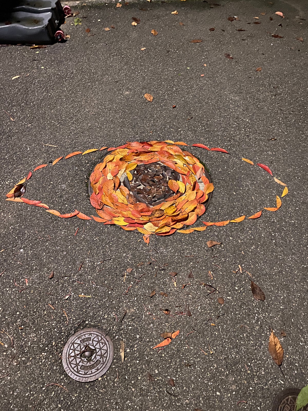 What I saw today | MLTSHP