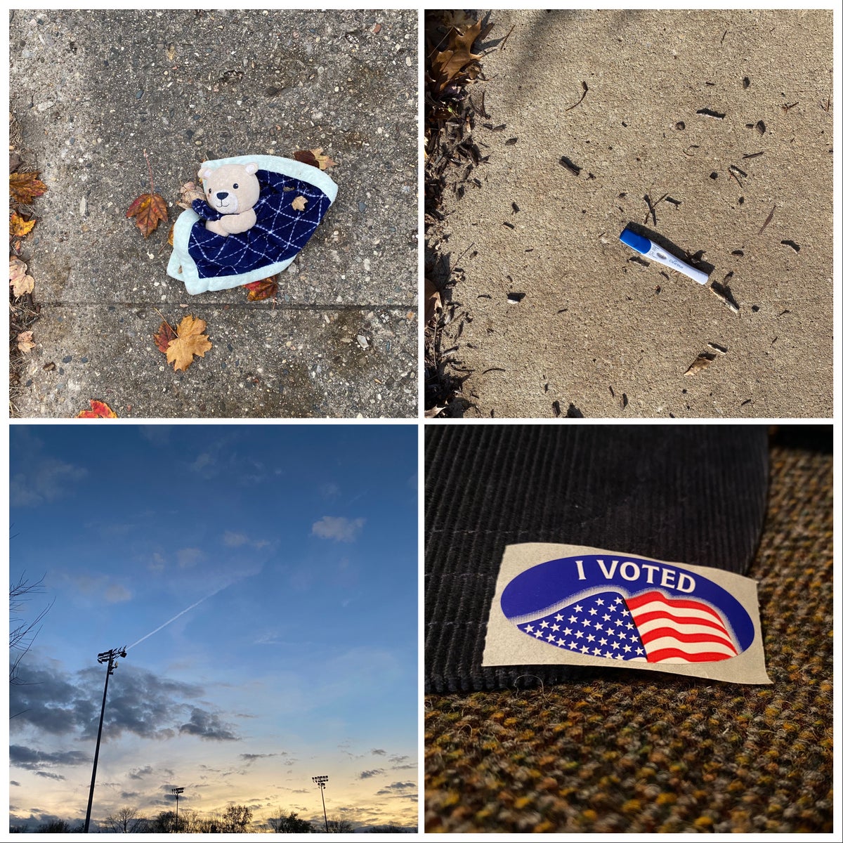 what i saw: voter edition | MLTSHP