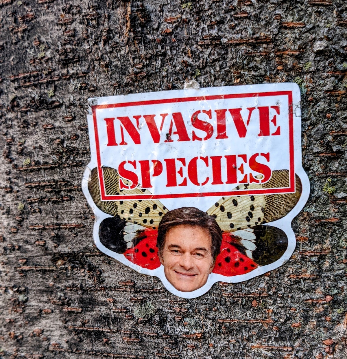 RED-SPECKLED.TURDGARGLER | MLTSHP