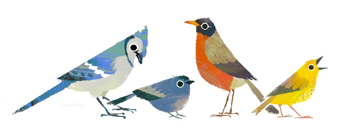 Bird Portraits, by Jameela Wahlgren | MLTSHP