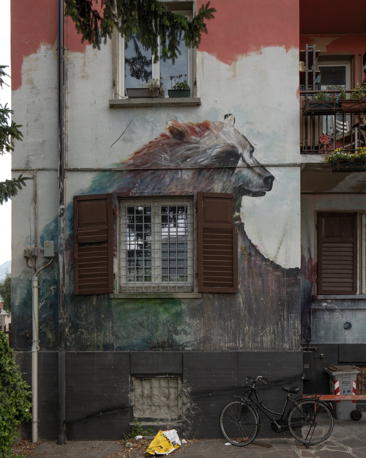 Torino Bear Rewilding Mural | MLTSHP