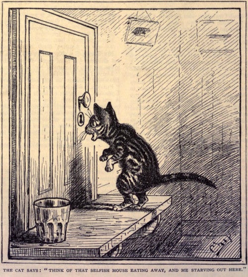 no mouse wants to work any more | MLTSHP