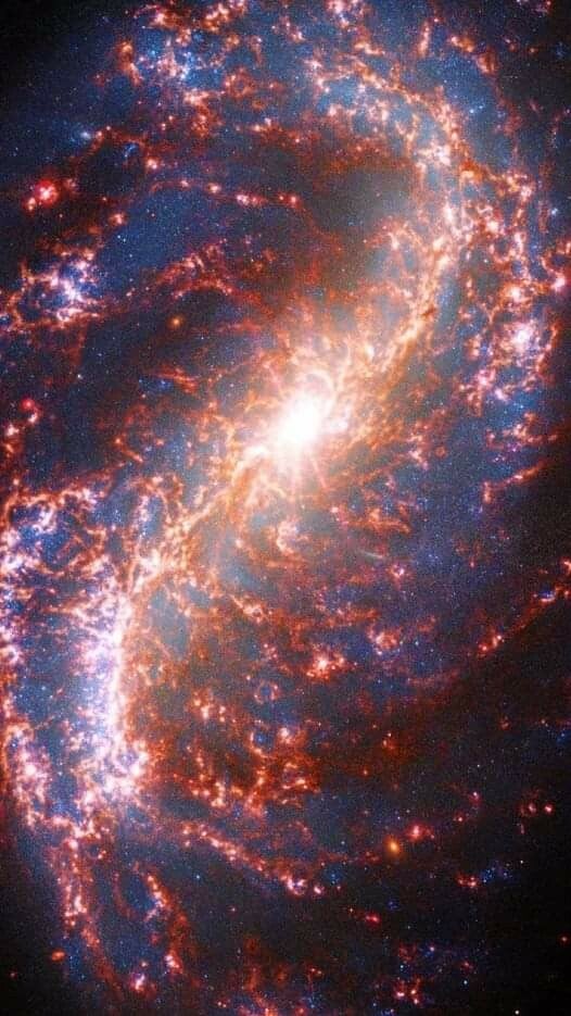 JWST capture of galaxy NGC 7496 | MLTSHP