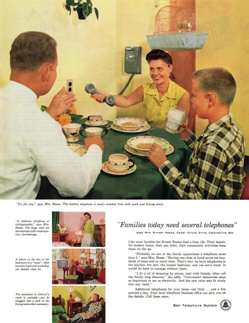 No need to stick your finger in the outlet...here's dog | MLTSHP