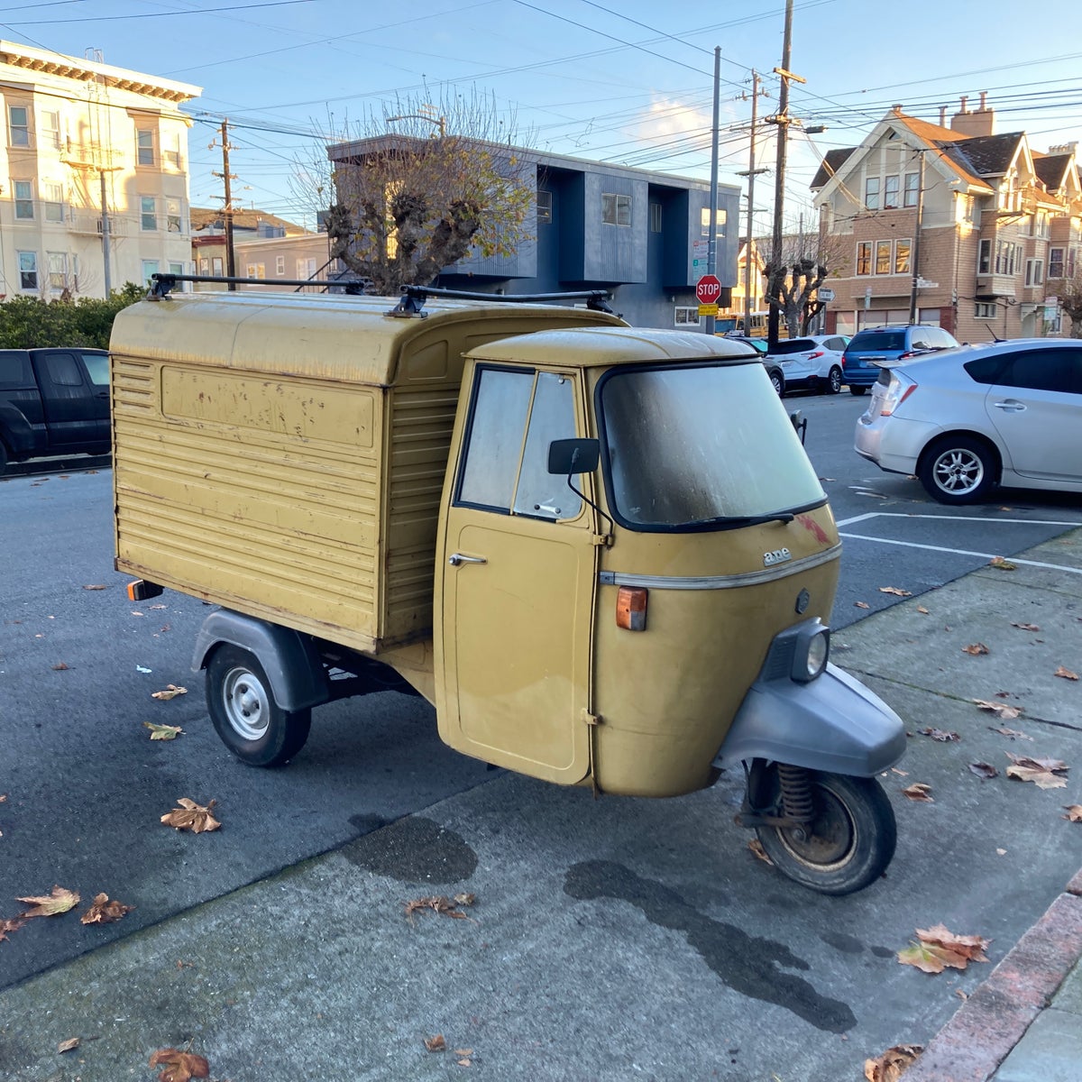 buzz buzz buzz | MLTSHP