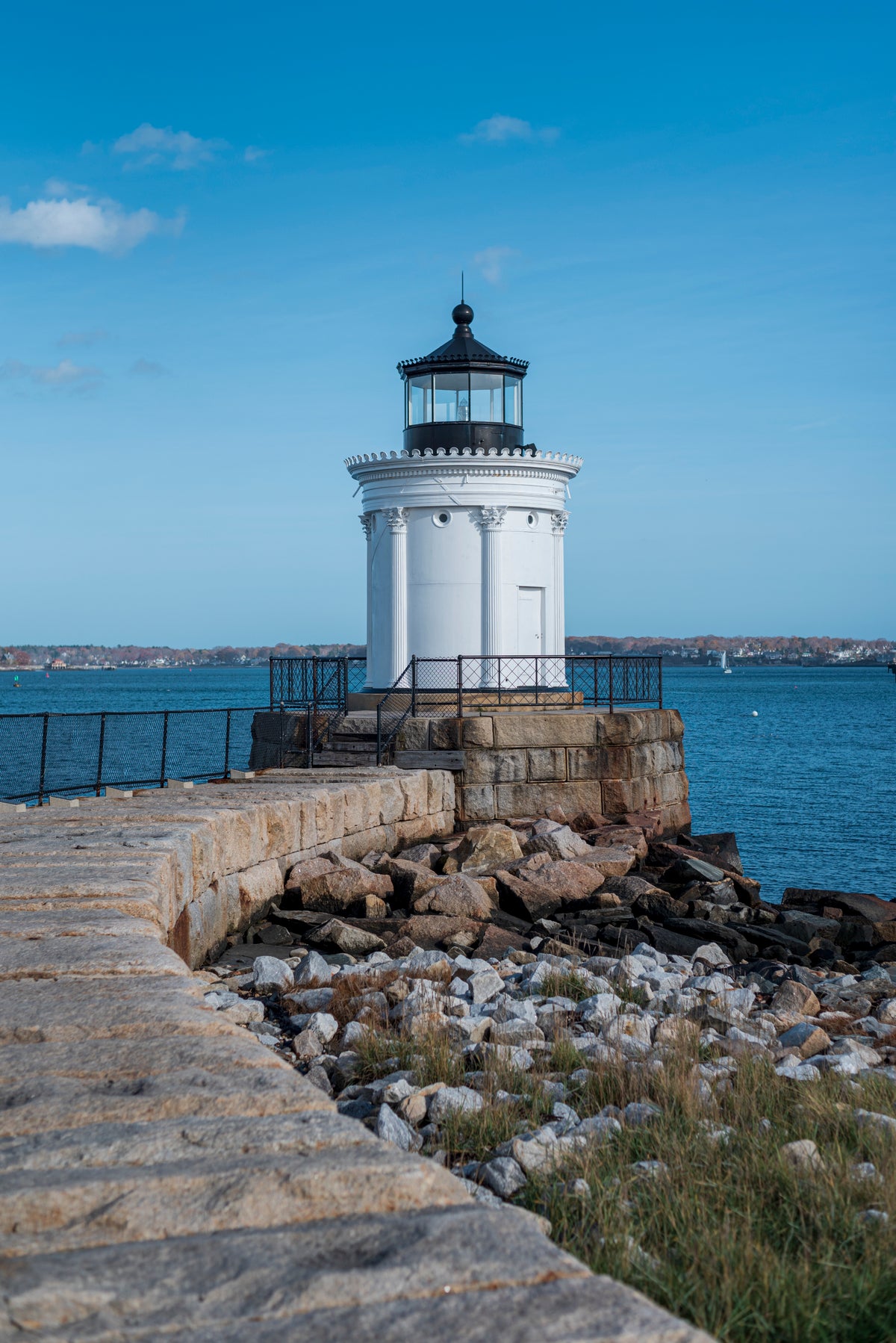 Bug Light | MLTSHP