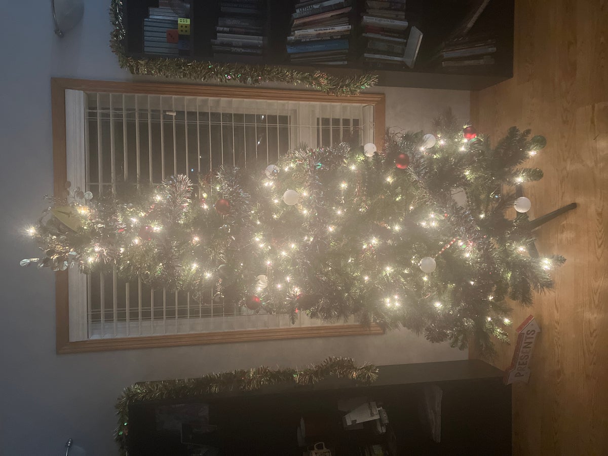 Happy Sideways Christmas! | MLTSHP