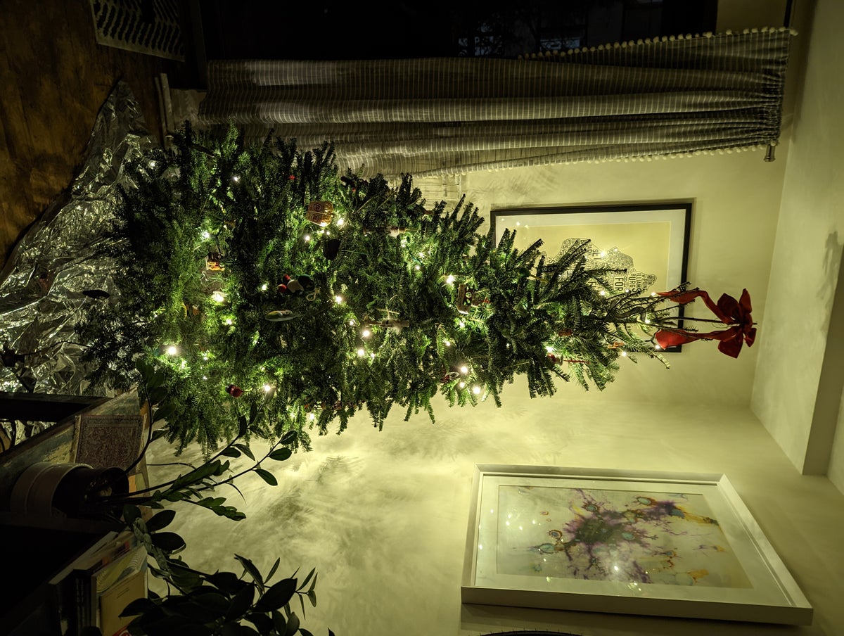 Tree's up in time for mltshpmas | MLTSHP